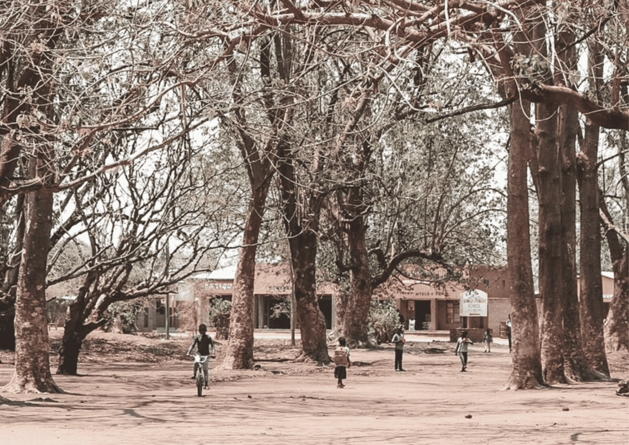 Luangwa | Biocarbon Partners