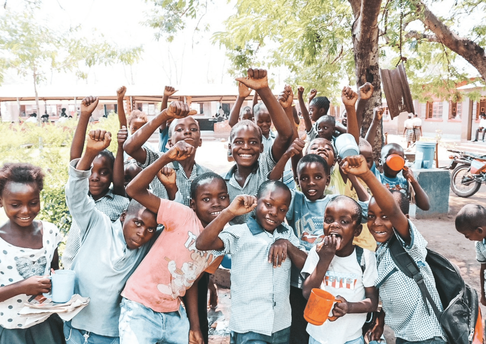 Luangwa | Biocarbon Partners