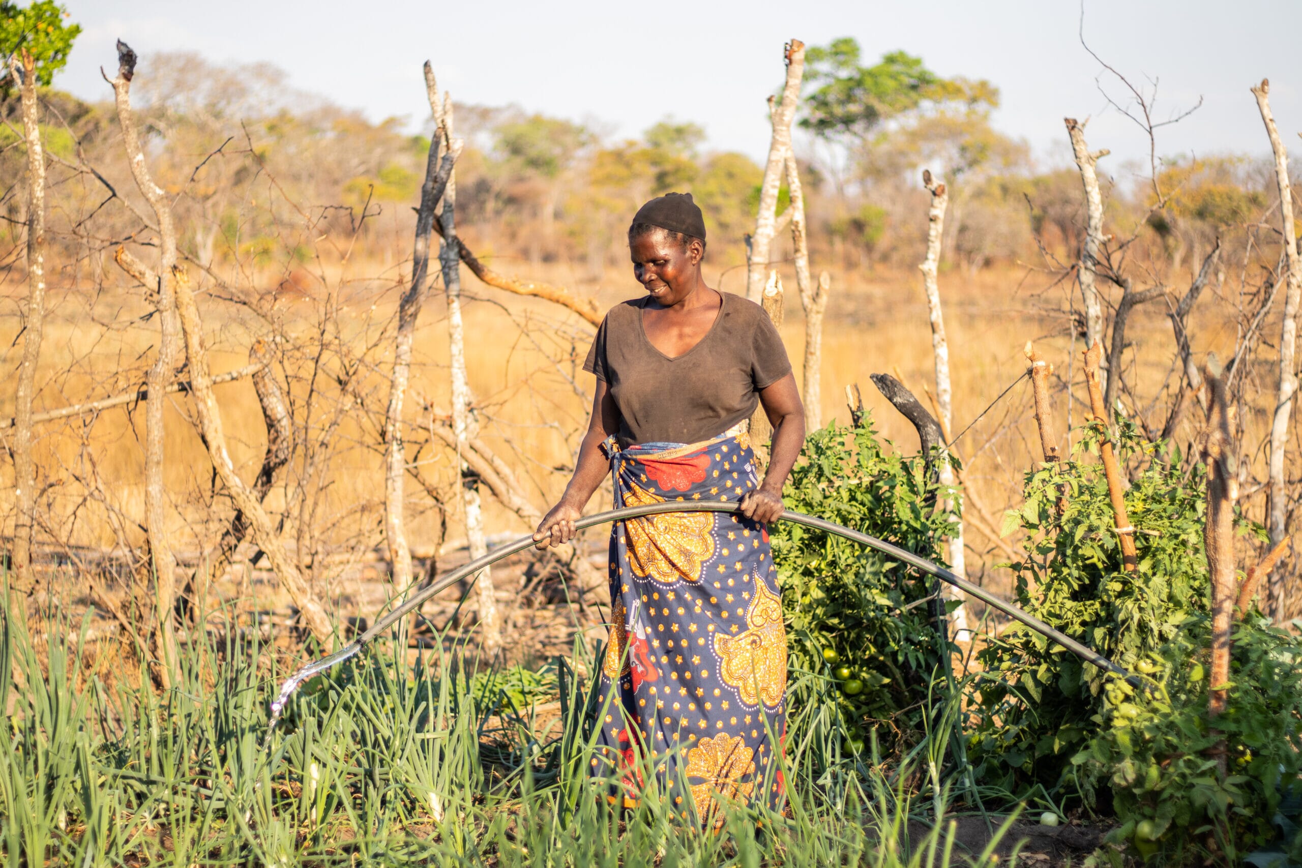 Climate Finance is the Conservation Mechanism of our Generation ...