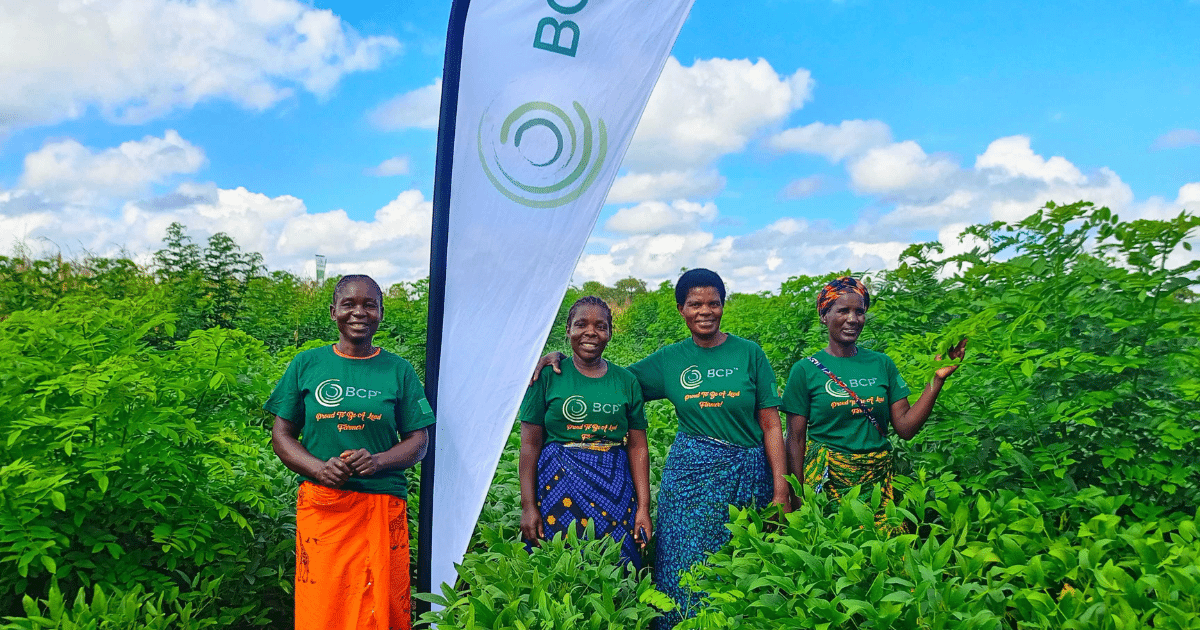BCP Kicks Off Climate-Smart Agriculture Field Days | Biocarbon Partners