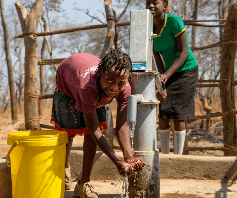 Beyond Carbon | Biocarbon Partners