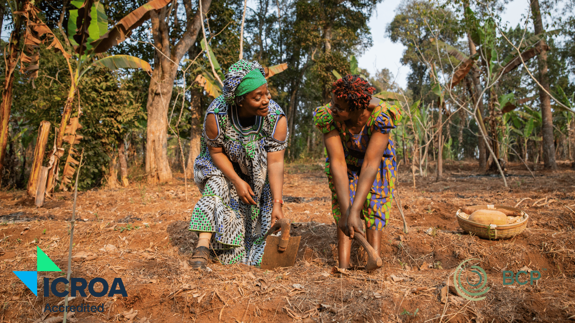 Zambian REDD+ Developer Awarded ICROA Accreditation in Successful Audit ...