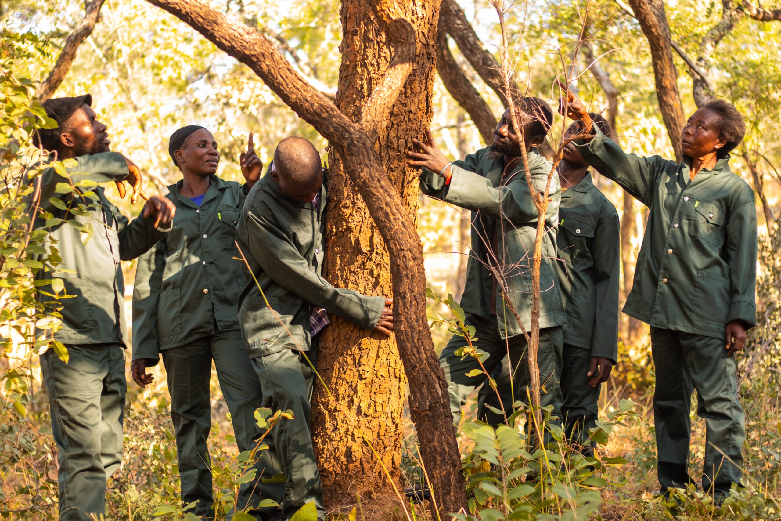 Hope in the Forests of Bunda Bunda: A New Chapter for Charpreneurs ...