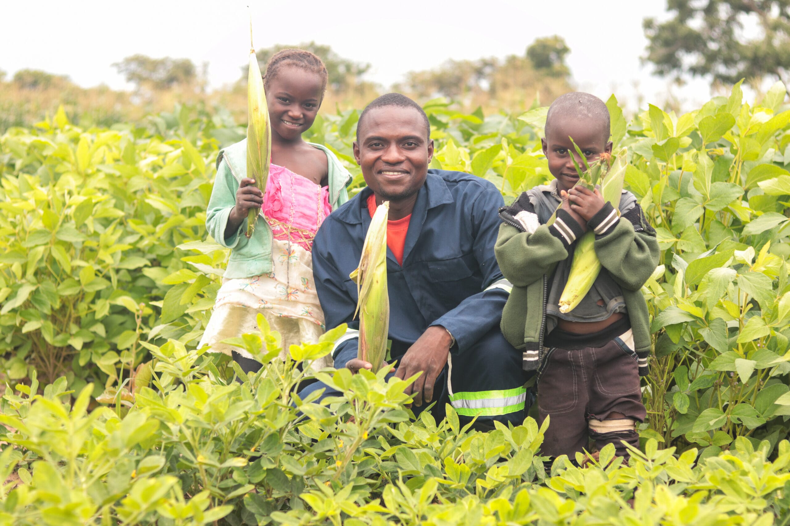 From Forest Protector to Food Champion: Bornface Shawa’s Climate-Smart ...